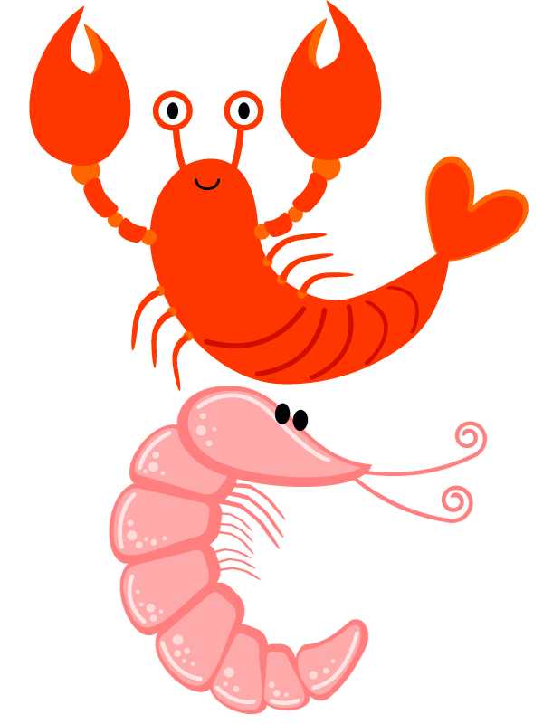 Packaged Crayfish - Olubrooklyn Foods